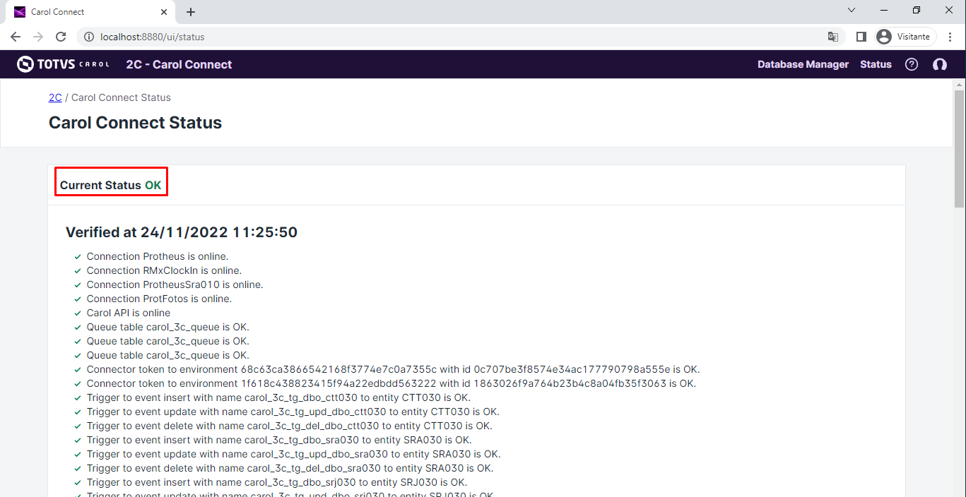 TOTVS CAROL - Carol Connect (2C) - Como verificar o status do Carol ...