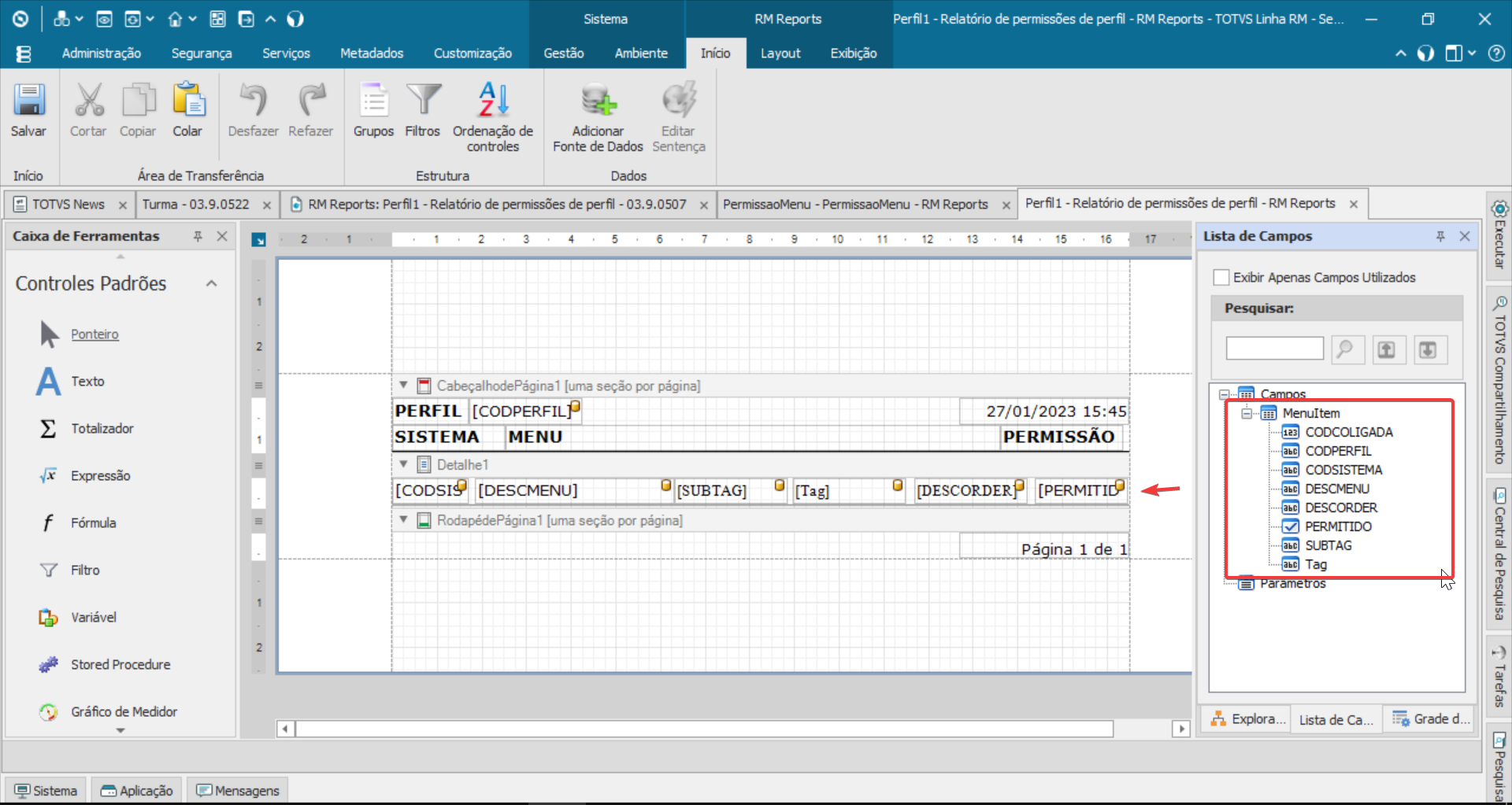 Framework - Linha RM - Frame - Relatório de Permissão aos Itens de Menu ...
