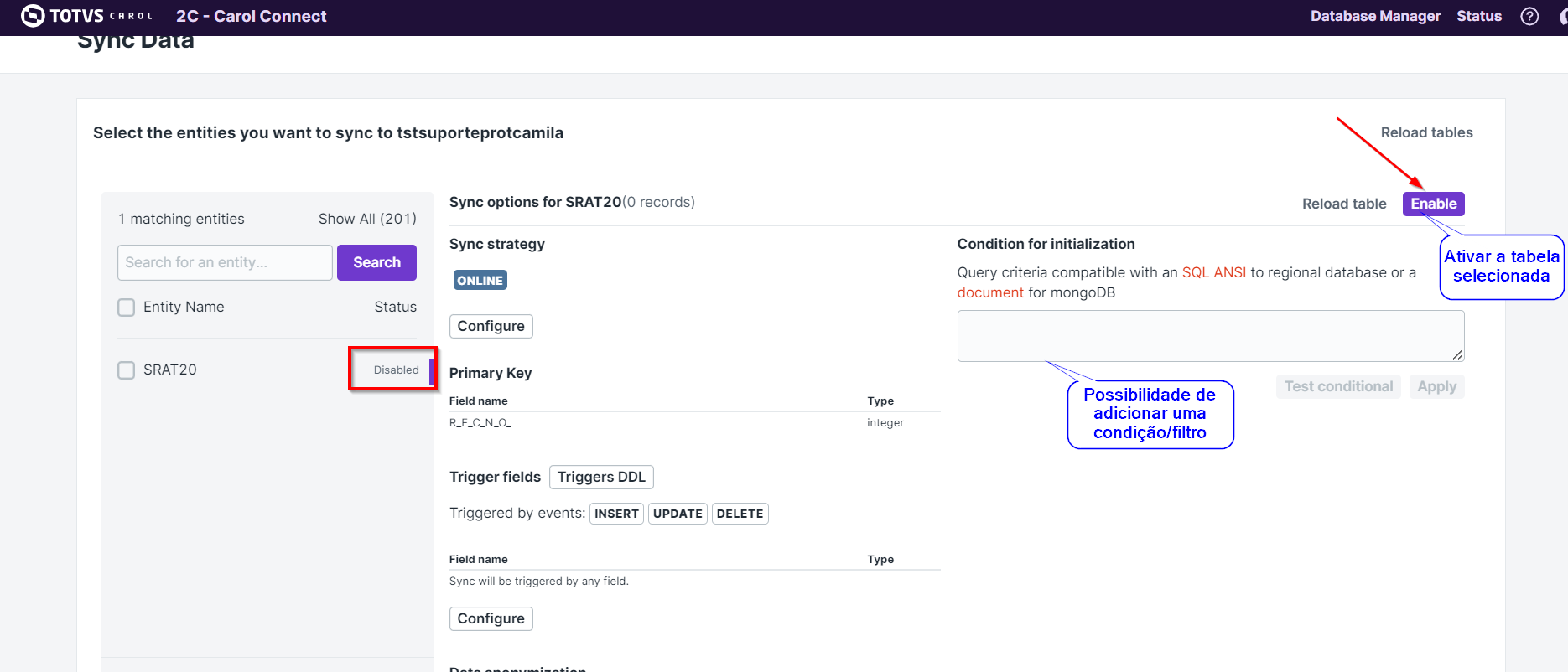 TOTVS CAROL - Carol Connect (2C) - Como criar uma conexão com um banco ...