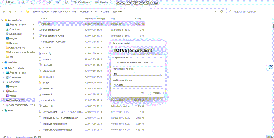 Cross Segmentos - TOTVS Backoffice Linha Protheus - ADVPL - Como extrair as includes TLPP ...