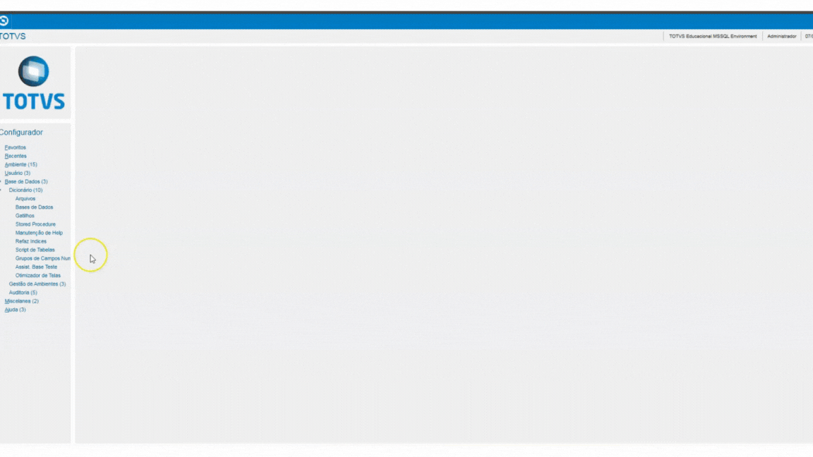 Cross Segmento - Backoffice Linha Protheus - SIGACTB - HELP:TAMINCOMPAT - CQ8_CODIGO e CQ9 ...