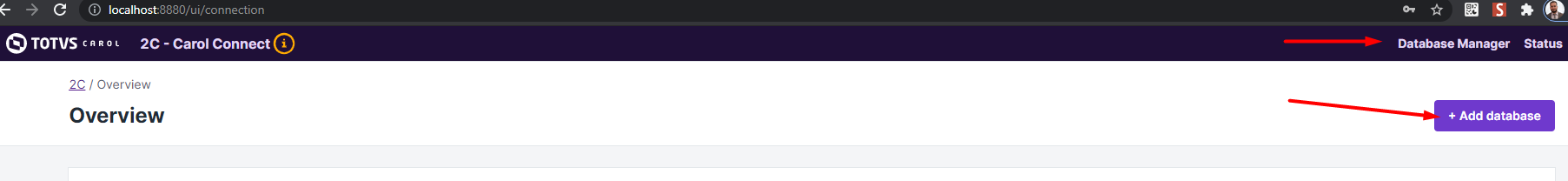 TOTVS CAROL - Carol Connect (2C) - Como criar uma conexão com um banco ...