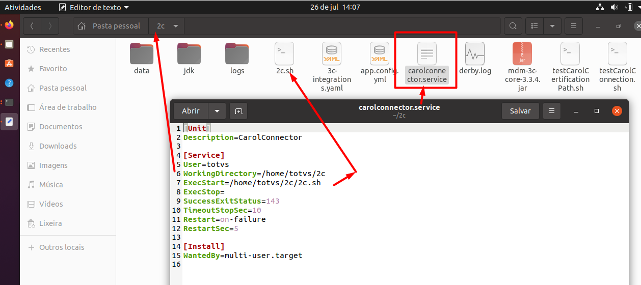 TOTVS CAROL - Carol Connect (2C) - Como Instalar, Desinstalar ou ...