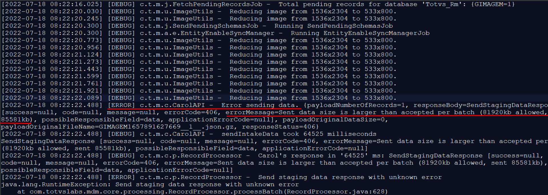 TOTVS CAROL - Carol Connect (2C) - O que fazer no caso do erro [ERROR ...